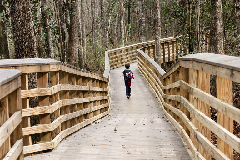 15+ Fun Things To Do In Dothan, Alabama