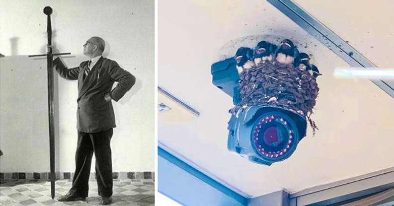 34 Fascinating Photos and Cool Things You Rarely See 34 Fascinating Photos and Cool Things You Rarely See