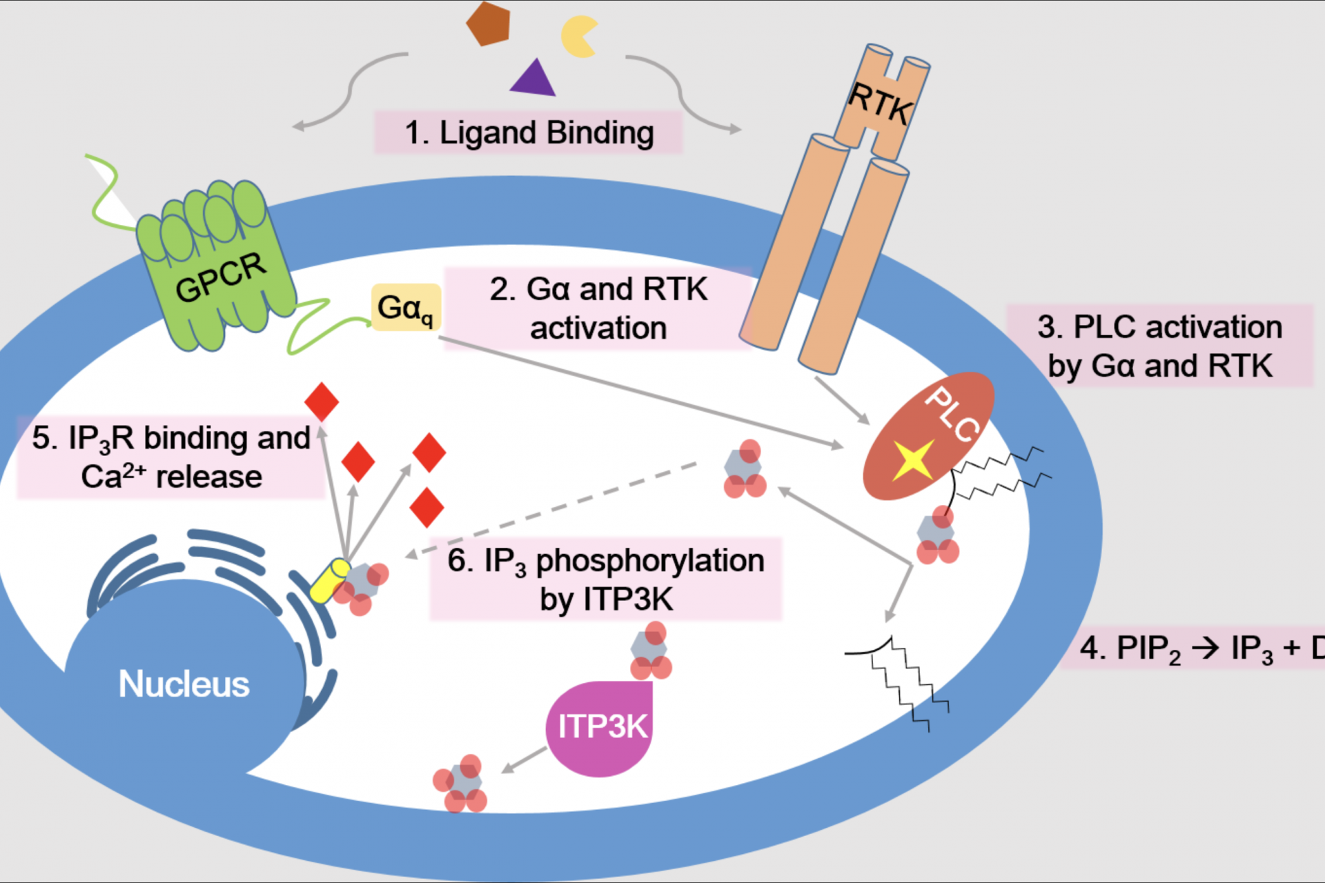 25 Retro Memes to Hark Back to Disco Days and Phoneless Hangs