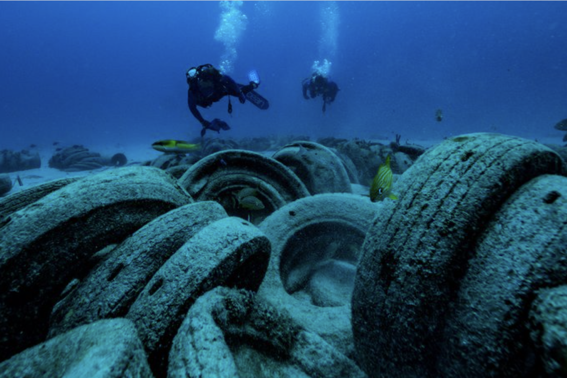 Osborne Reef is the worst U.S. environmental disaster you've never ...