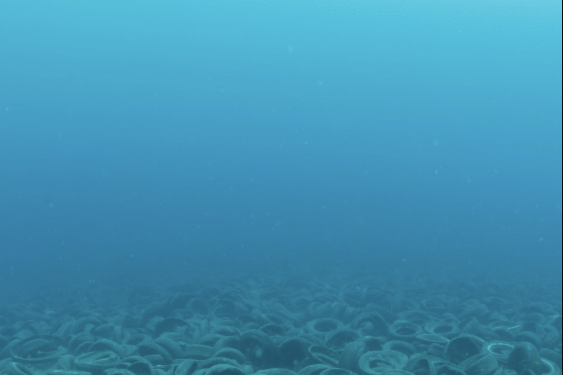 Osborne Reef is the worst U.S. environmental disaster you've never ...