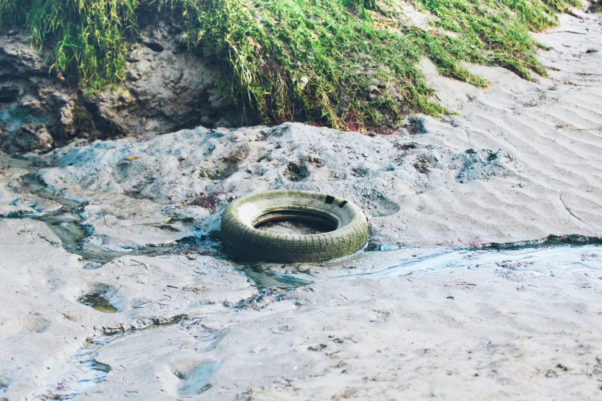 Osborne Reef is the worst U.S. environmental disaster you've never ...