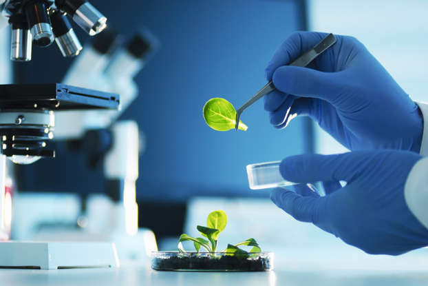 Surprising Study: Plants Make Sounds When Stressed Surprising Study: Plants Make Sounds When Stressed
