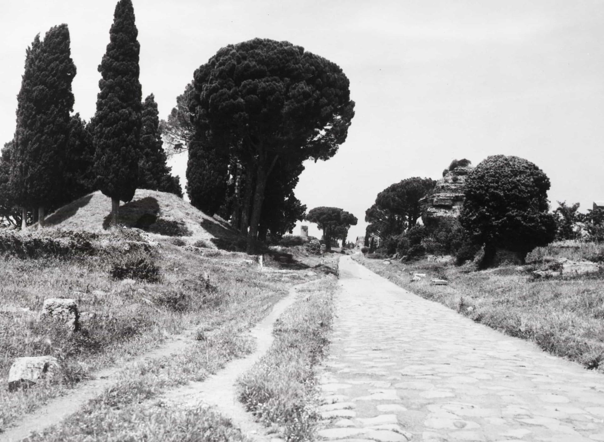 Fascinating facts about ancient Rome that will surprise you