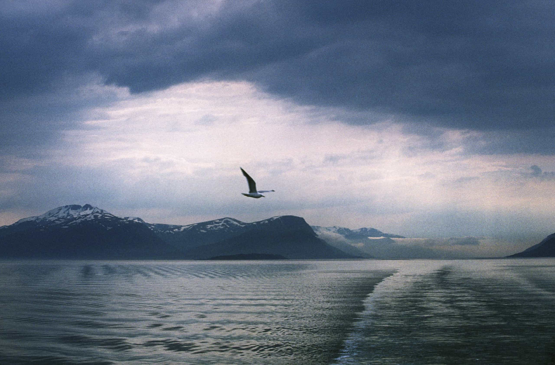 Curious facts you didn't know about the Vikings