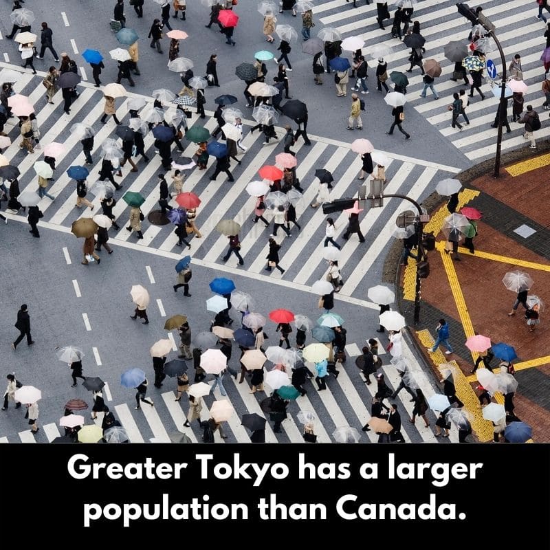 50 Real and Disturbing Statistics We Wish Were Made Up