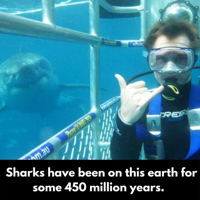 50 Real and Disturbing Statistics We Wish Were Made Up