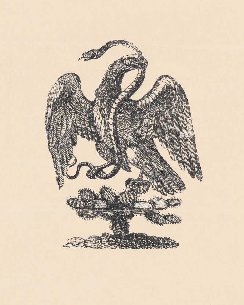 Beeindruckende Fakten über das Reich der Azteken