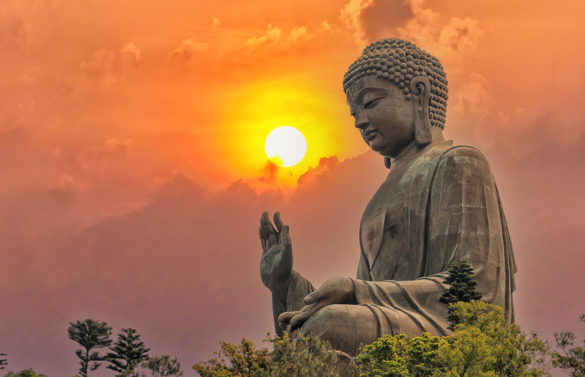 The extraordinary life and spiritual portrait of the Buddha