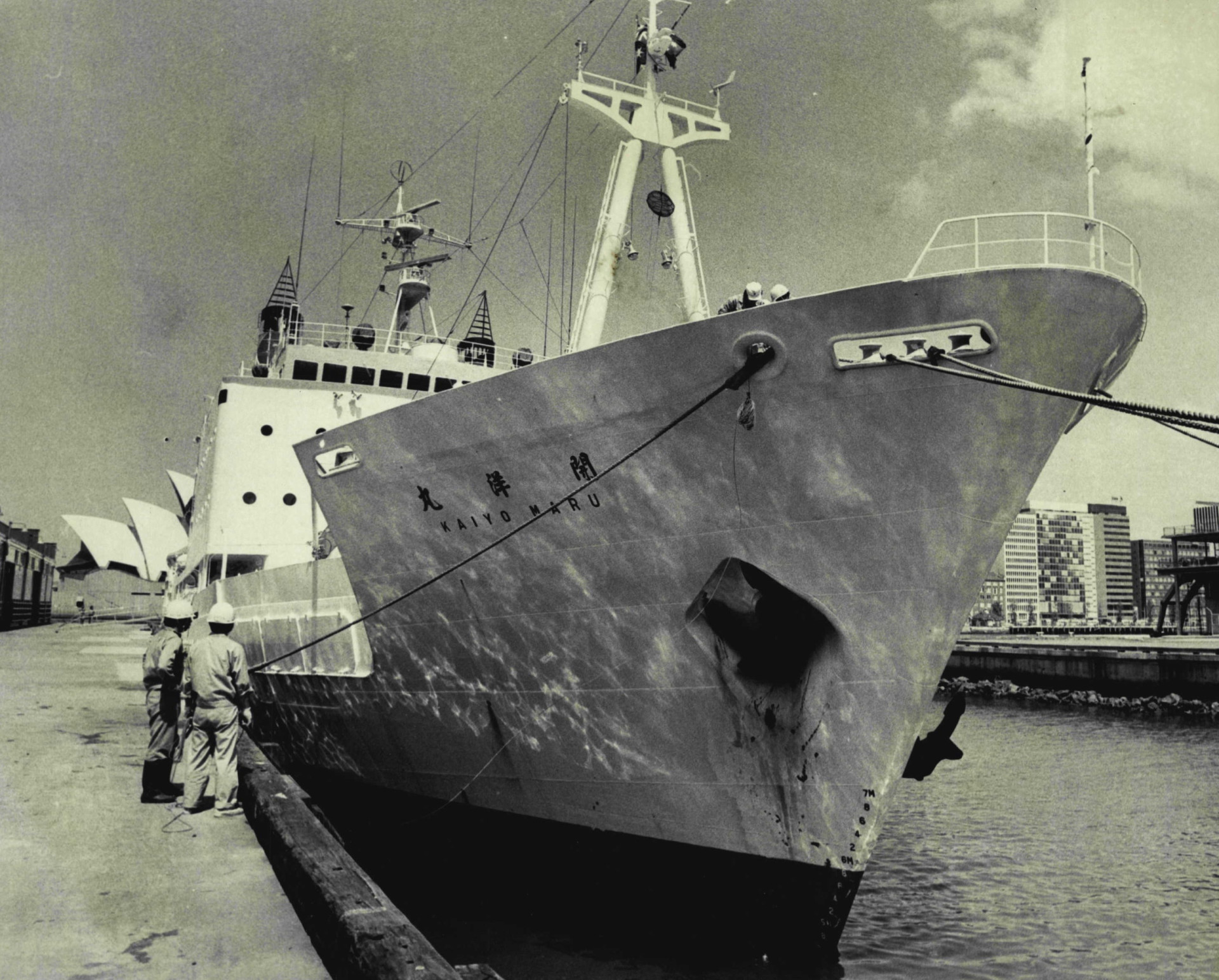 The eerie mystery of Japan's Devil Sea