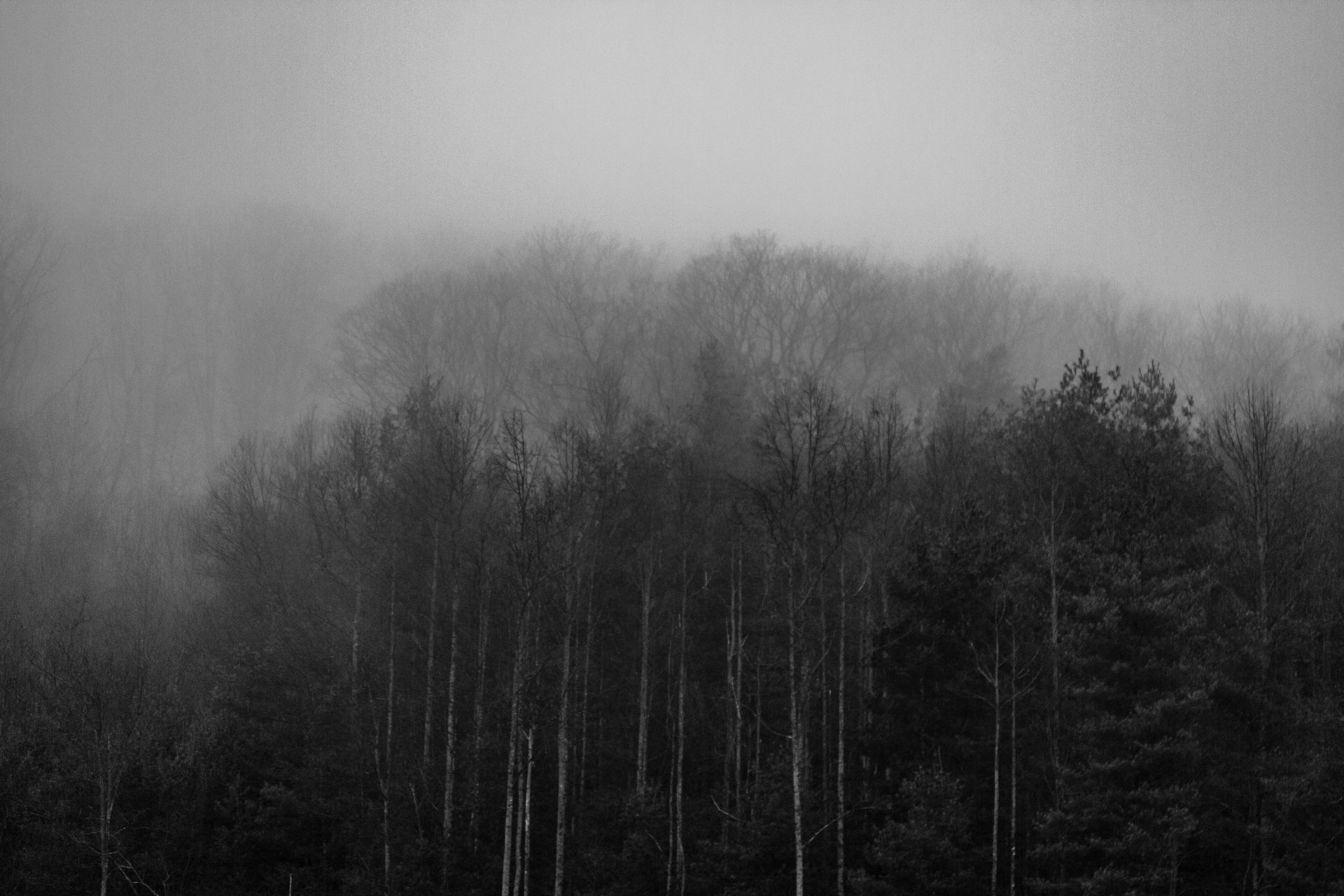 Who killed Michael Jordan's father? The complicated facts you never knew