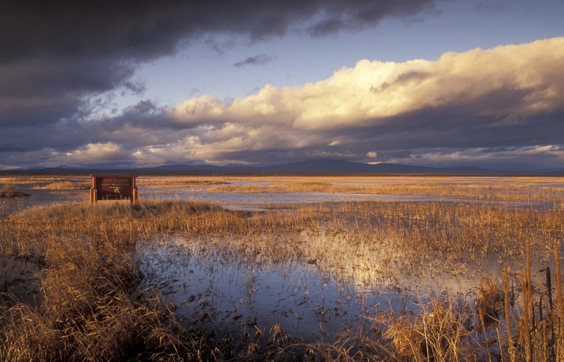 The wonderful wetlands of the United States