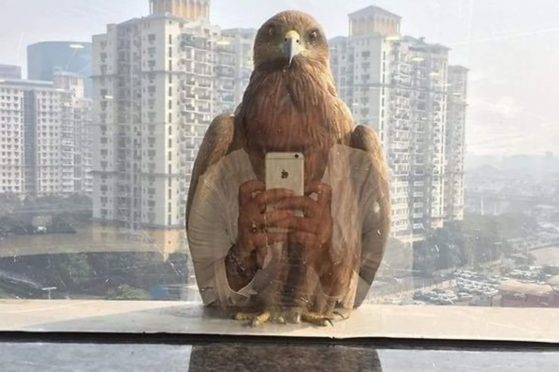 You’ll have to look twice at these strange images