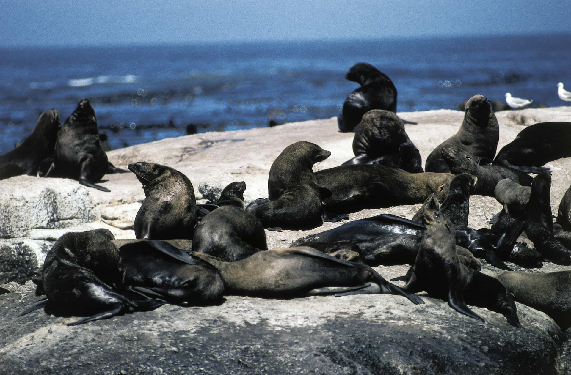 The smelliest cities in the world (for good and bad)