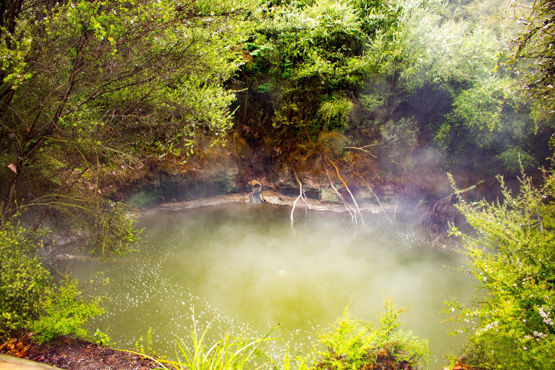 The smelliest cities in the world (for good and bad)