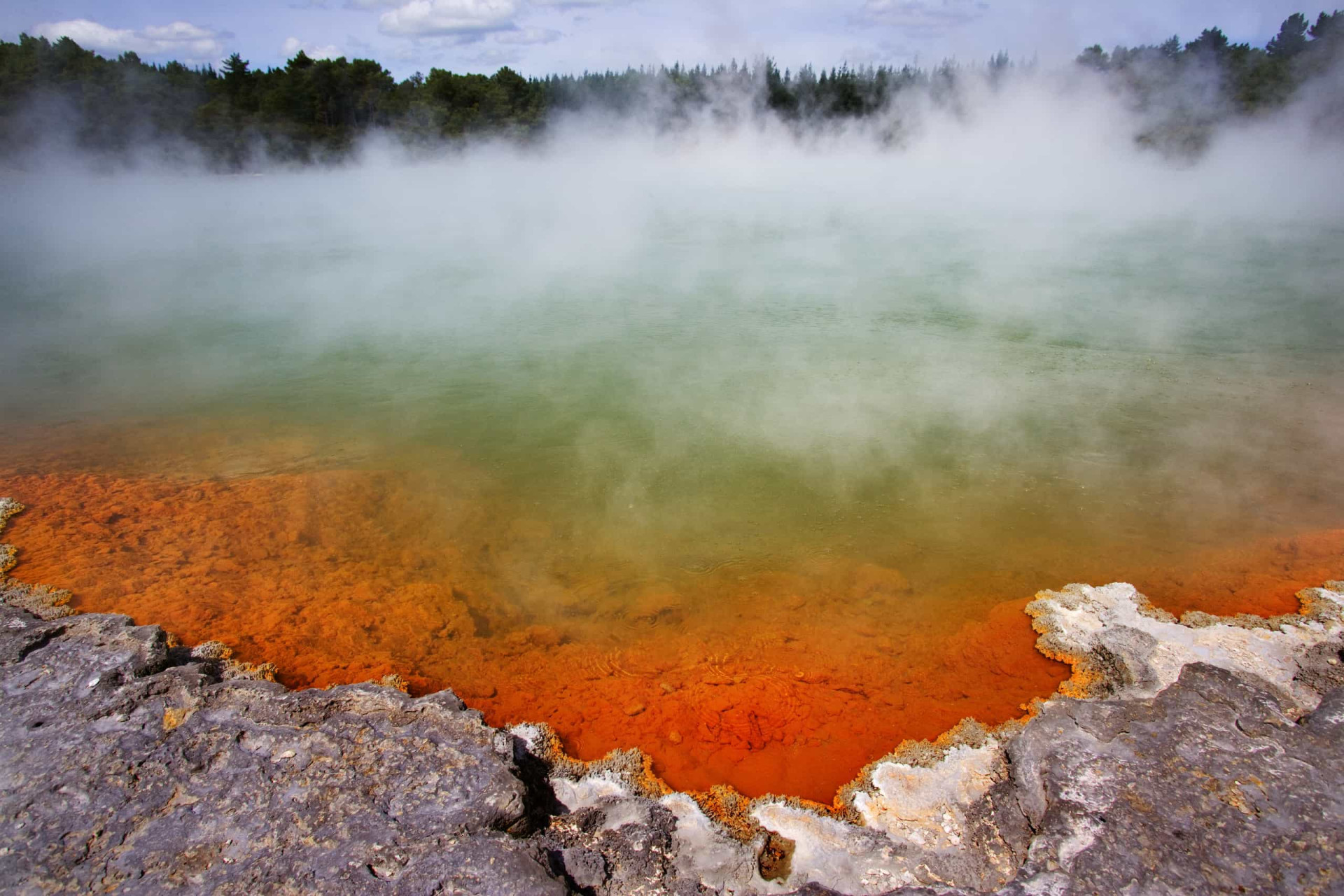 The smelliest cities in the world (for good and bad)