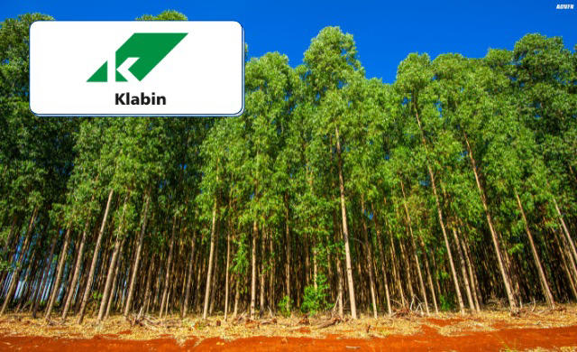 Klabin prevê investimento de R$ 3,3 bilhões em 2025