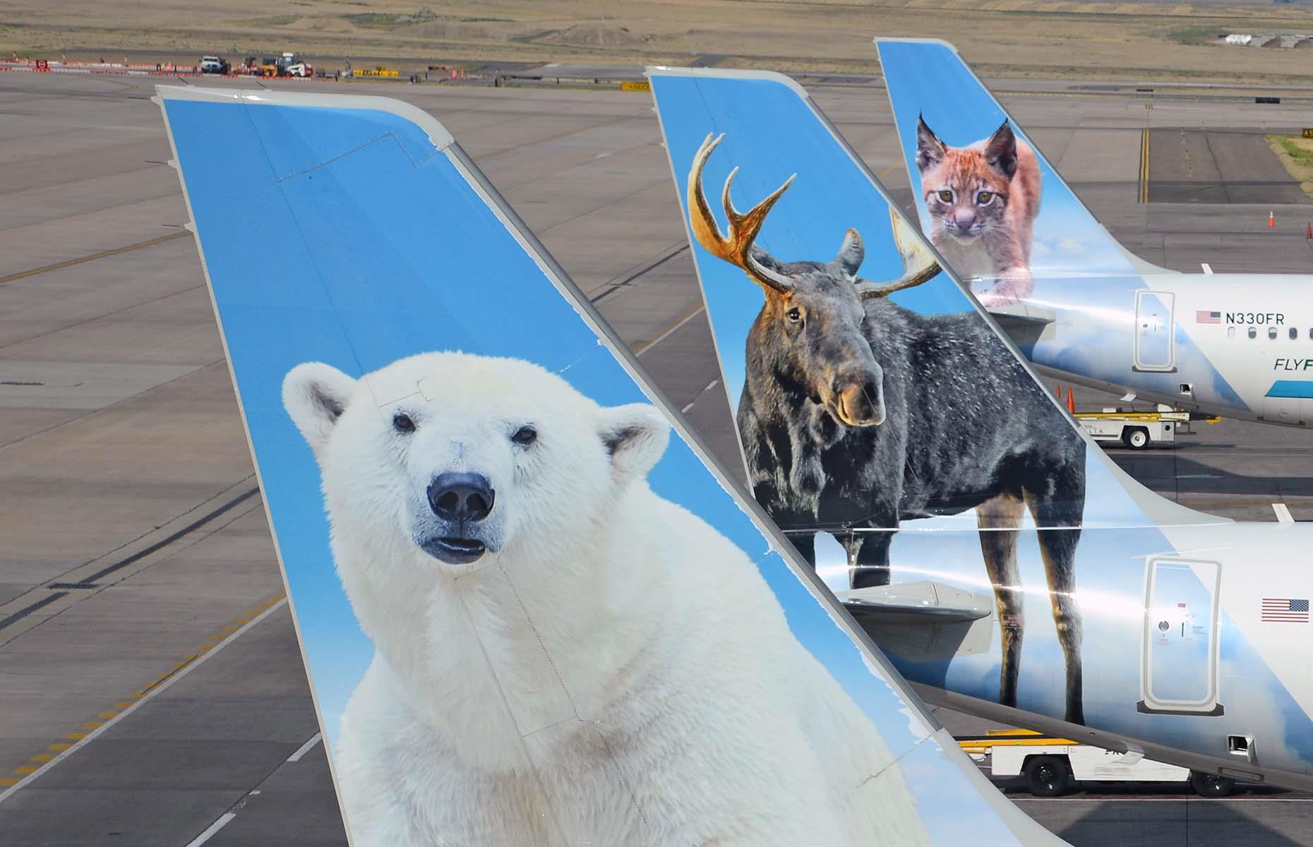 How many of these famous airline logos can you name?