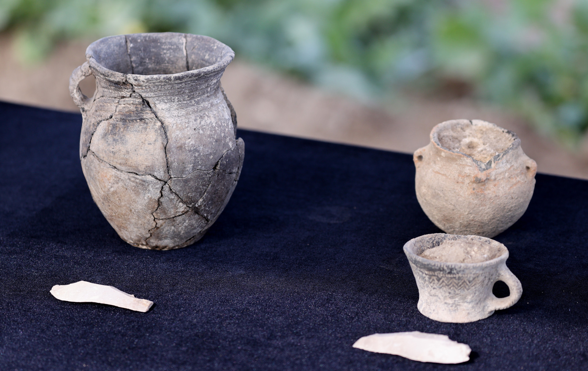 What DNA tells us about Europe's first settlers