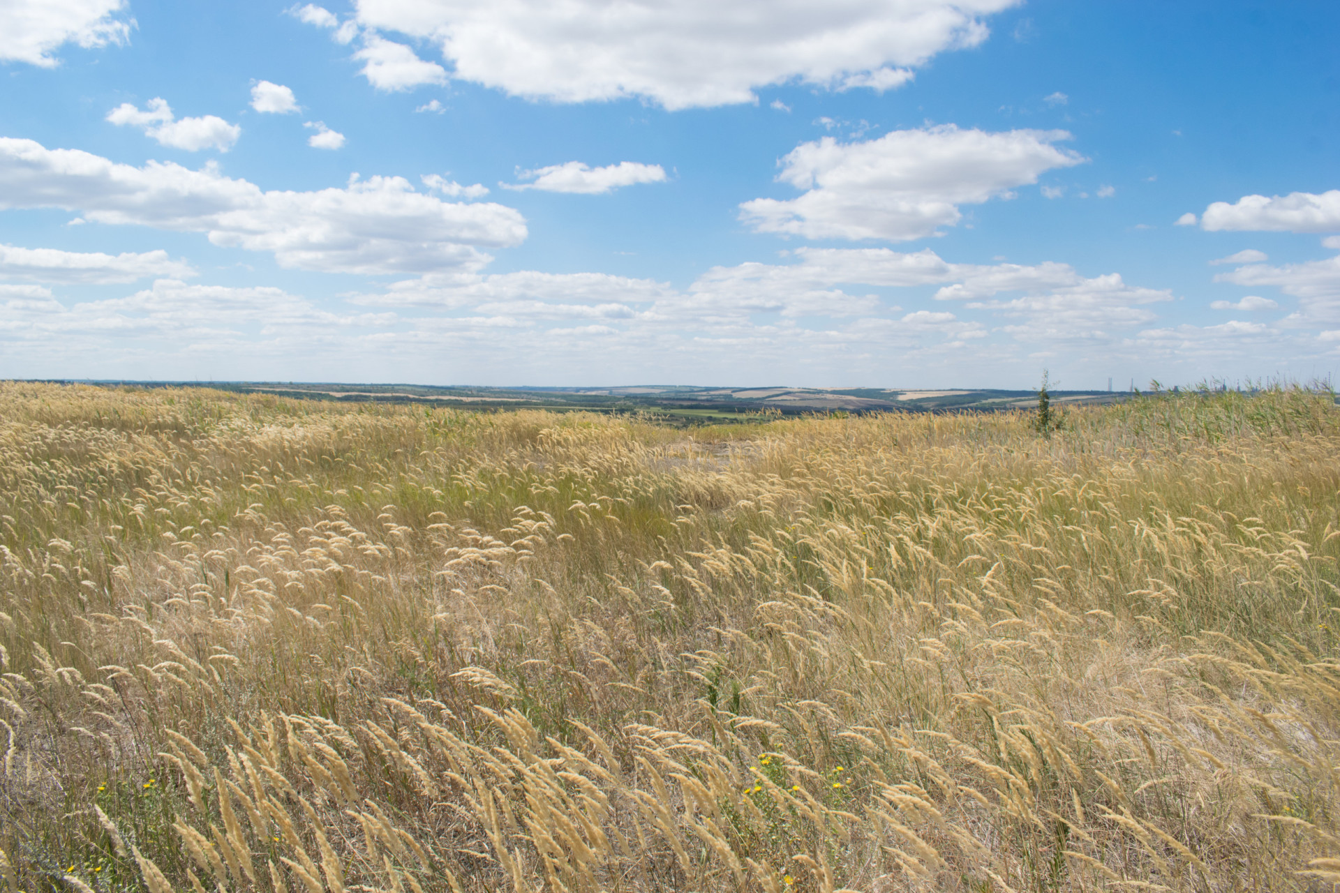 What DNA tells us about Europe's first settlers