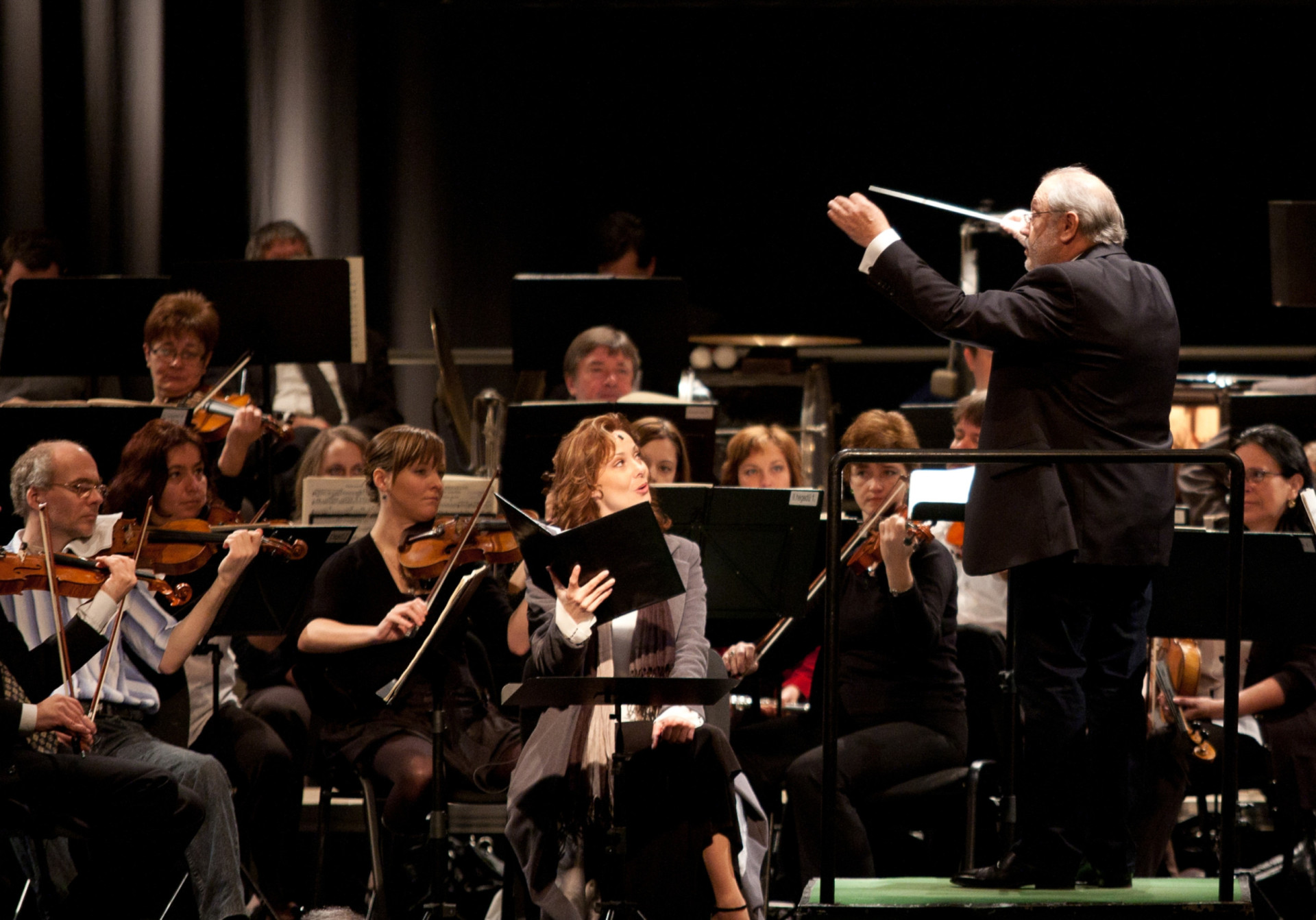 What is the point of a classical music conductor?