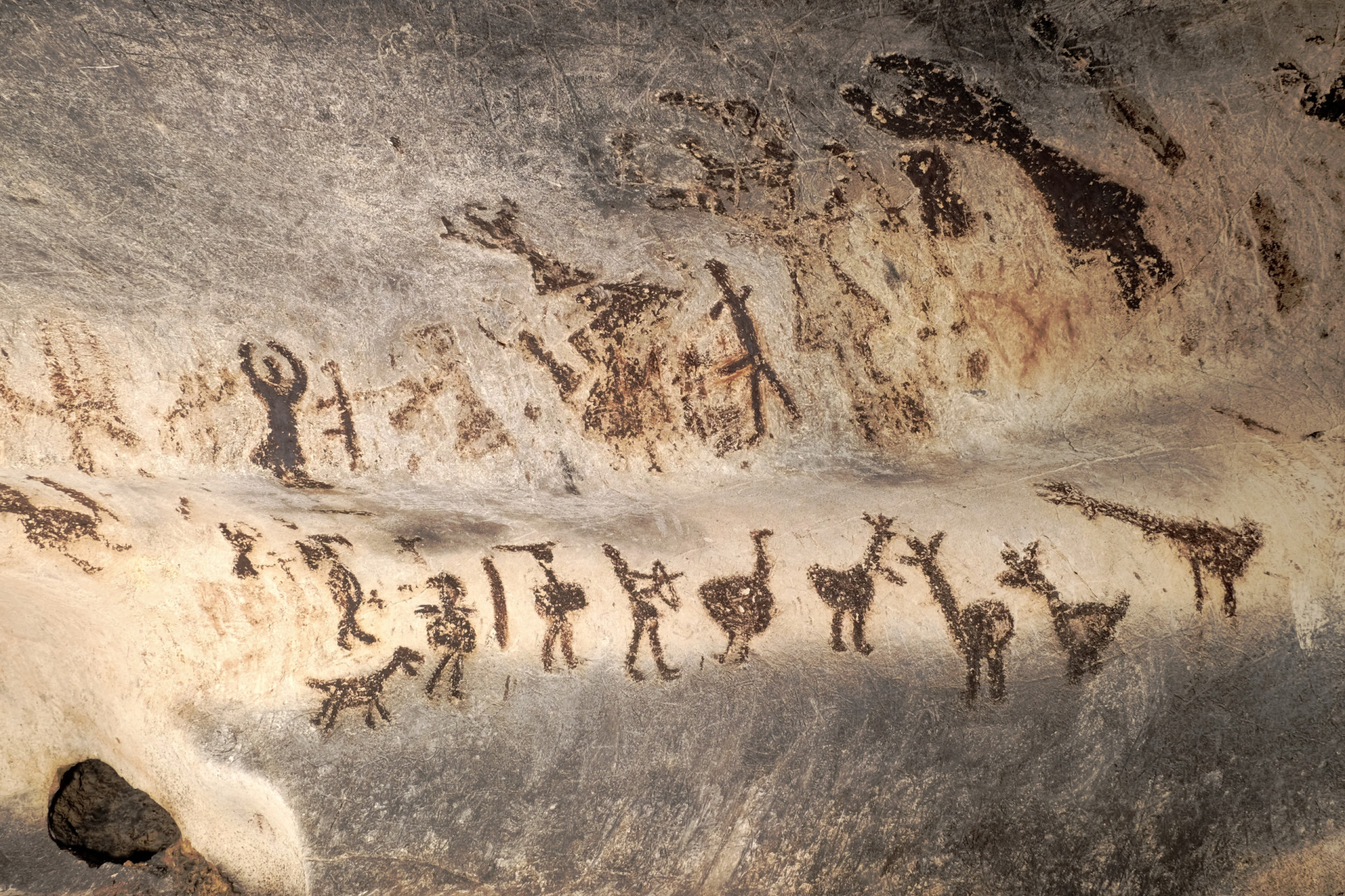 What DNA tells us about Europe's first settlers