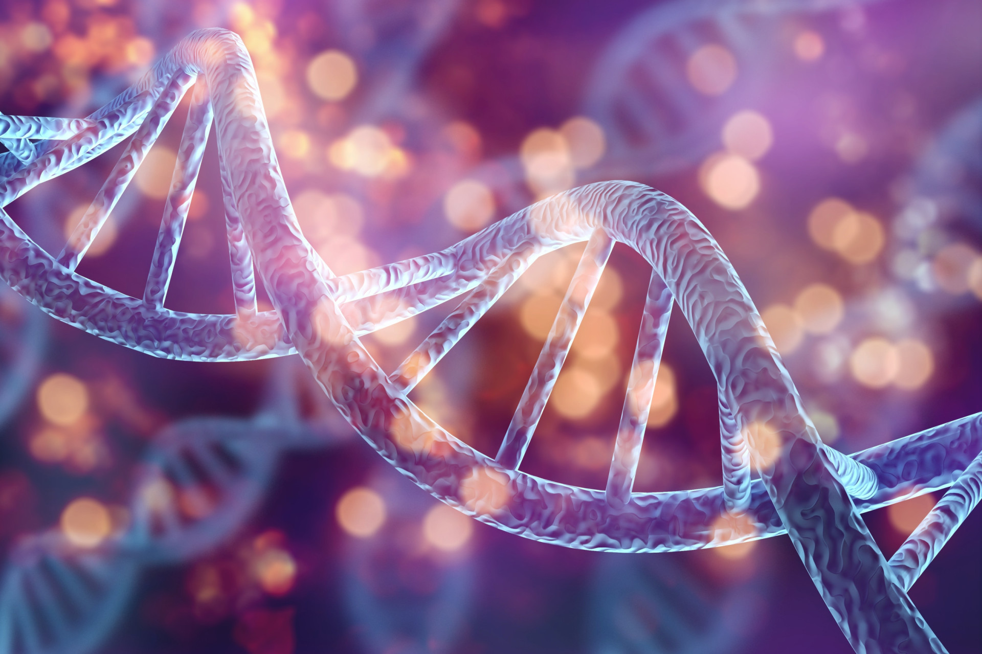 What DNA tells us about Europe's first settlers