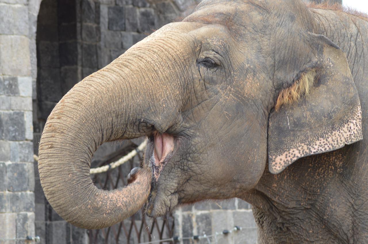 History's most infamous unfinished buildings