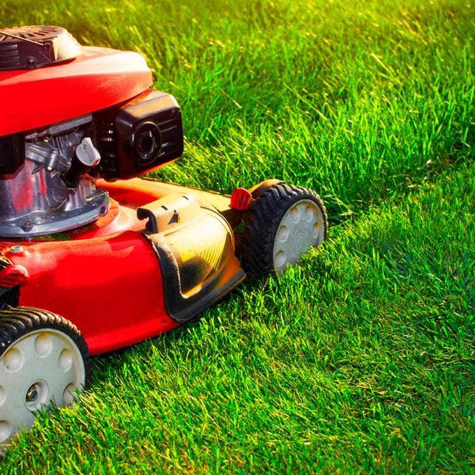What Is the Best Height to Cut Grass? What to Know