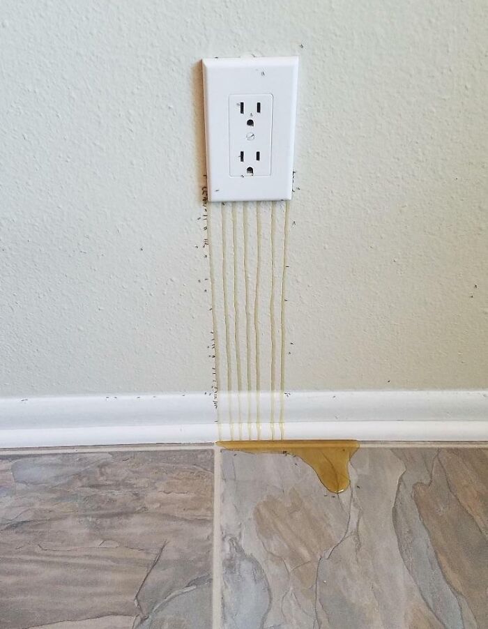 Home Inspectors Share The Funniest And Most Questionable Things They’ve ...