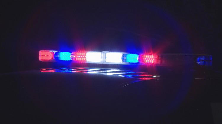 Portland police officer on leave after domestic violence arrest is back ...