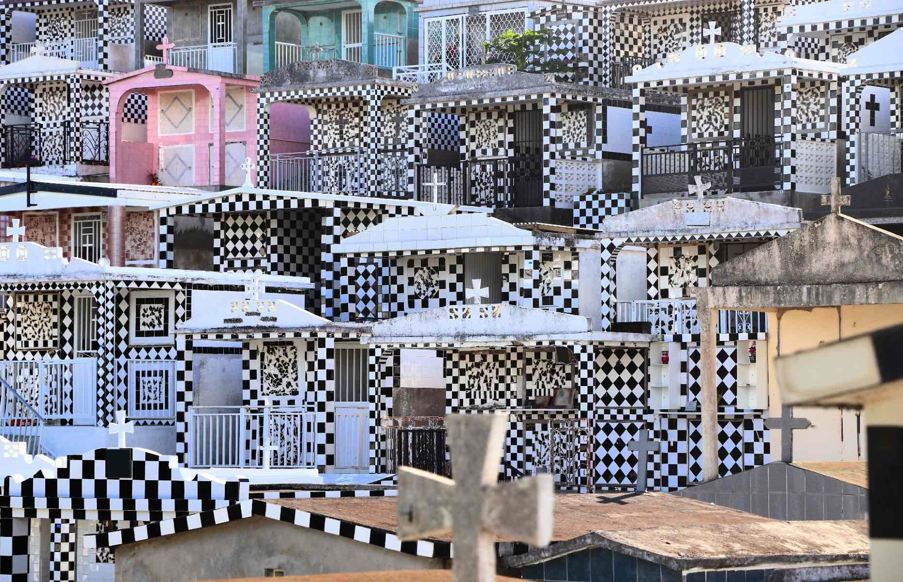 The Born Loser by Art and Chip Sansom