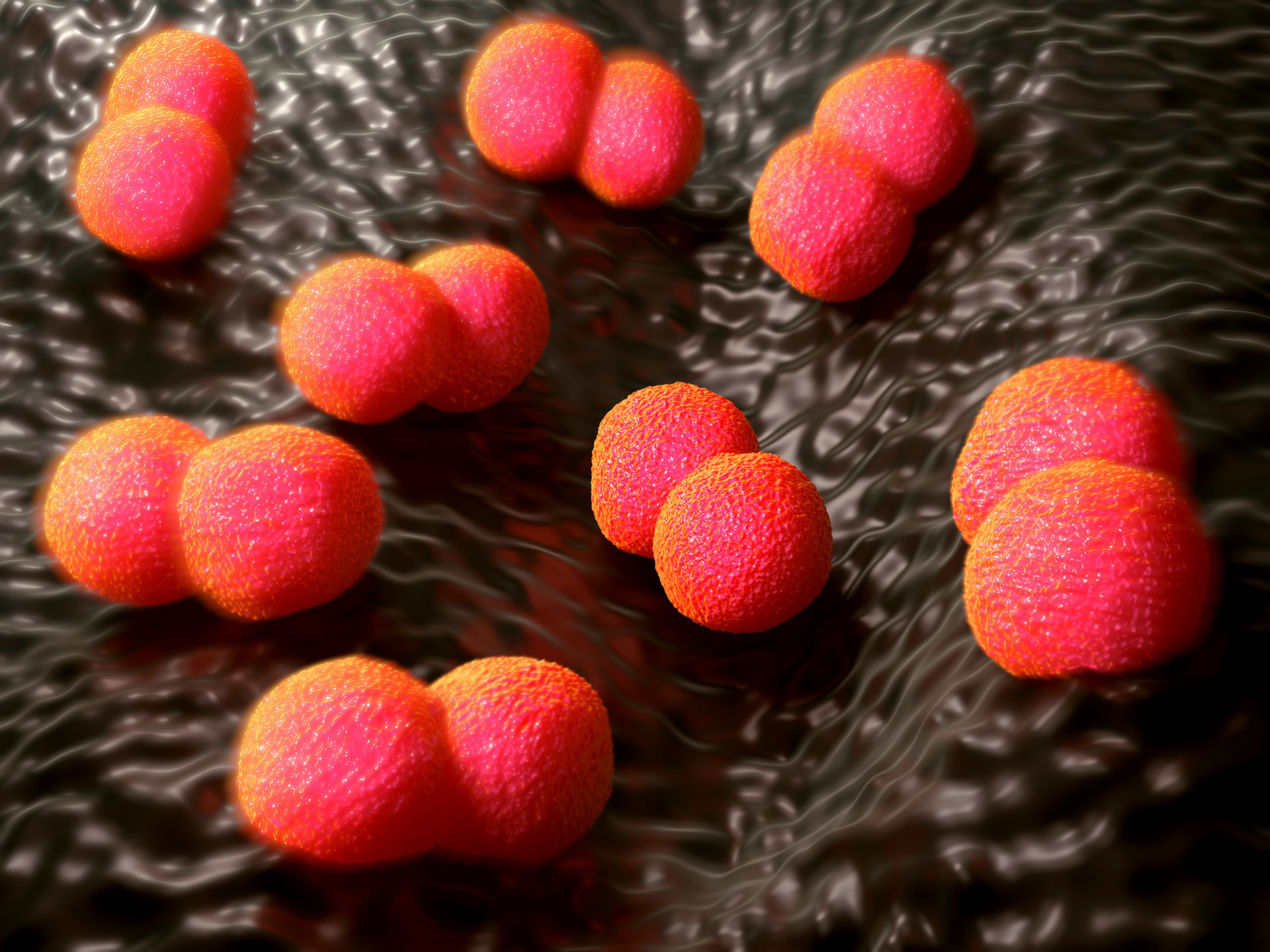 Deadly diseases and infections with a 24-hour window