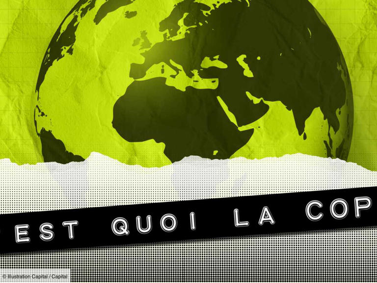 Qu'est-ce que la COP (Conférence des Parties)