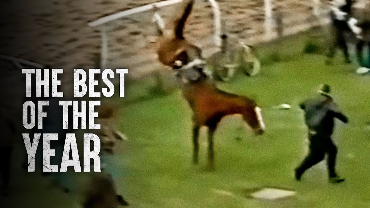 The Ultimate Survival Guide to Life’s Worst Situations