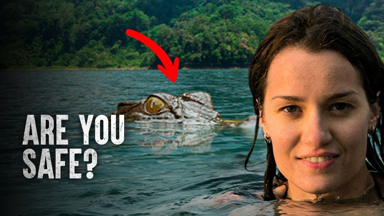 The Most Gruesome Crocodile Attacks Ever—And How to Escape