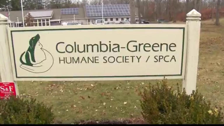 Columbia-Greene Humane Society hosting pet food drive
