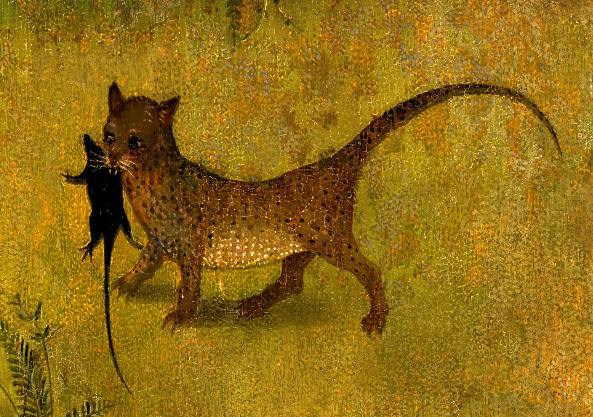 The strangest medieval pet advice