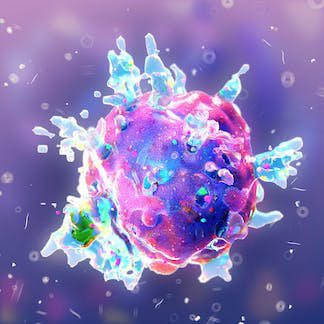 Biobots arise from the cells of dead organisms − pushing the boundaries ...