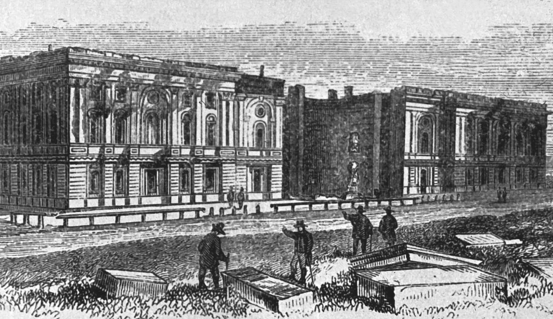 Domesticated Delight of 20+ Precious Pets and Funny Farm Animals in ...