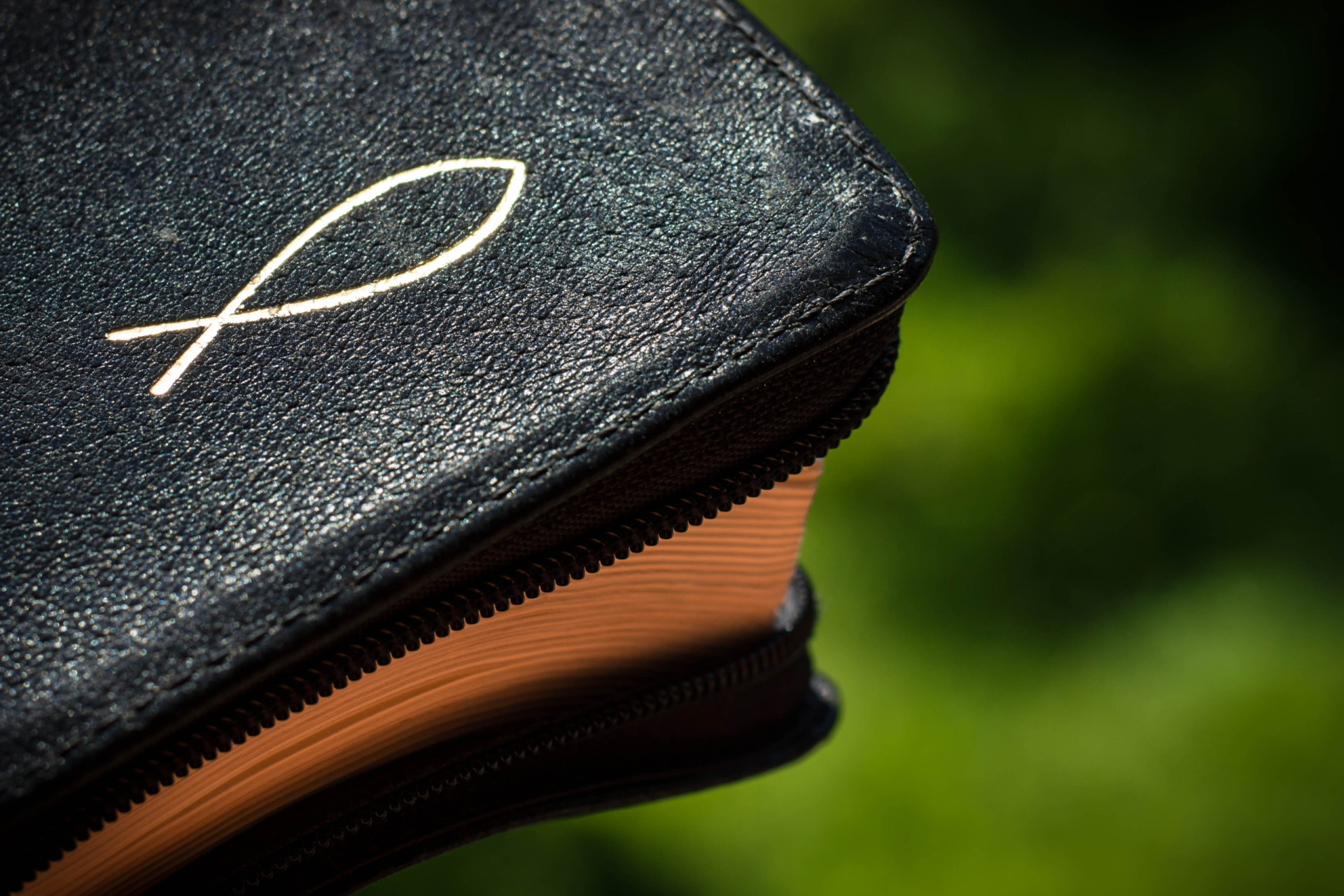 The surprising truth behind the world's most famous symbols