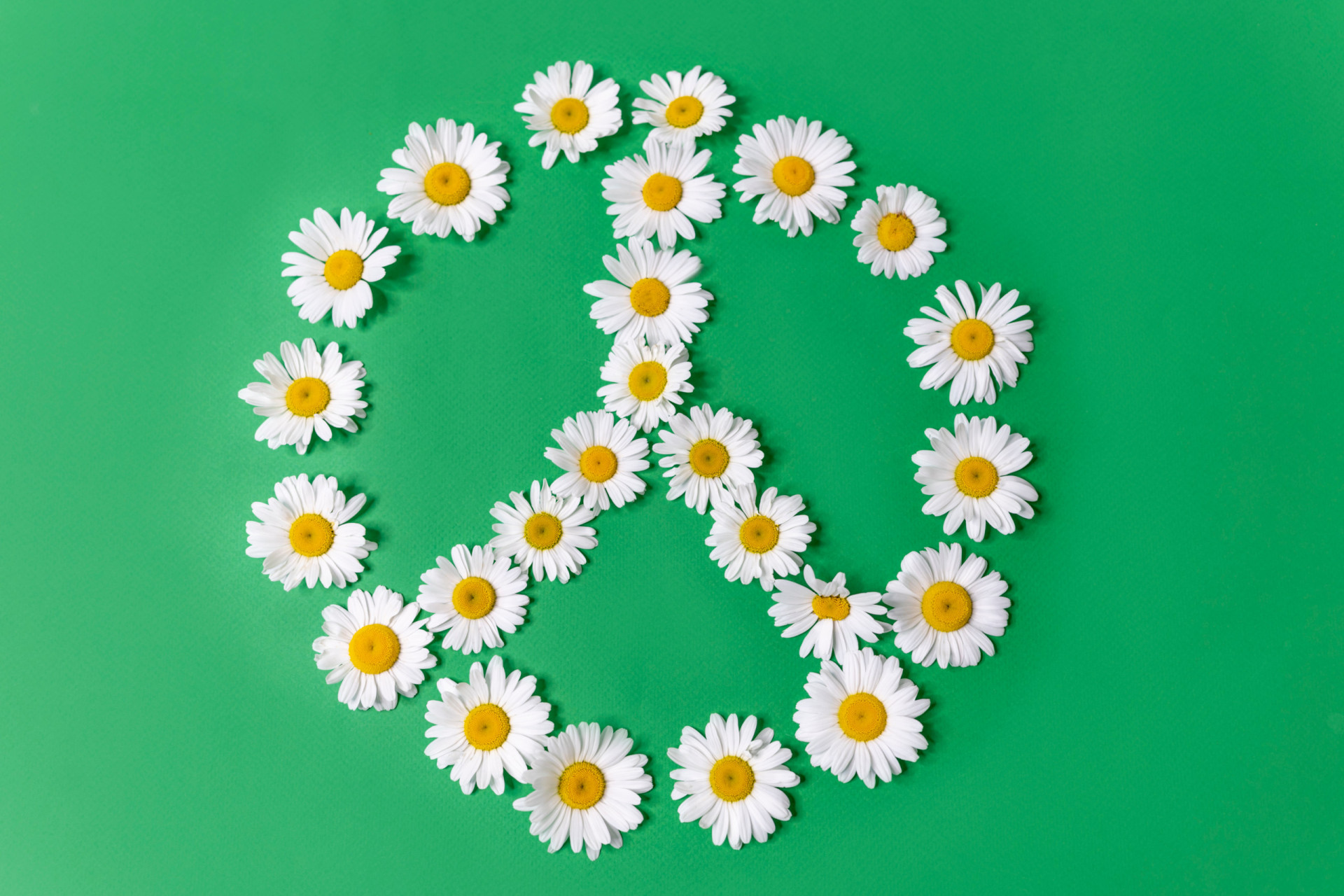 The surprising truth behind the world's most famous symbols