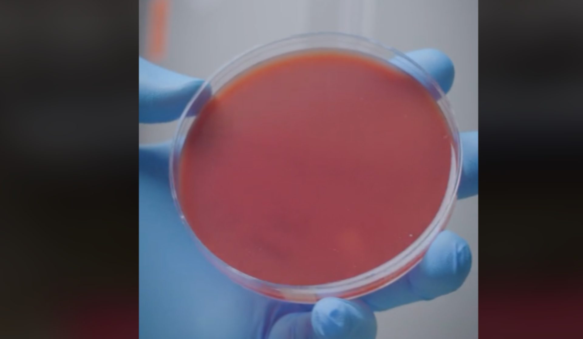 Germ spreaders or good hygiene? The dirty truth about hand dryers