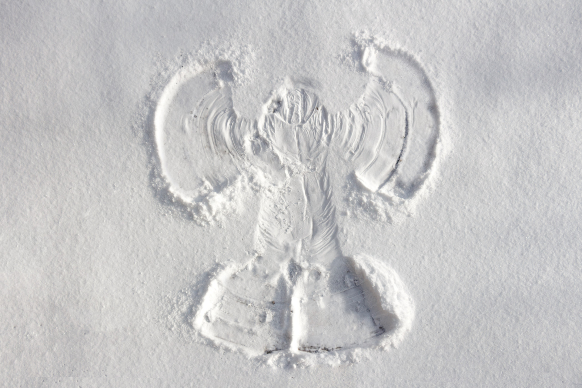 Cool facts you didn't know about winter