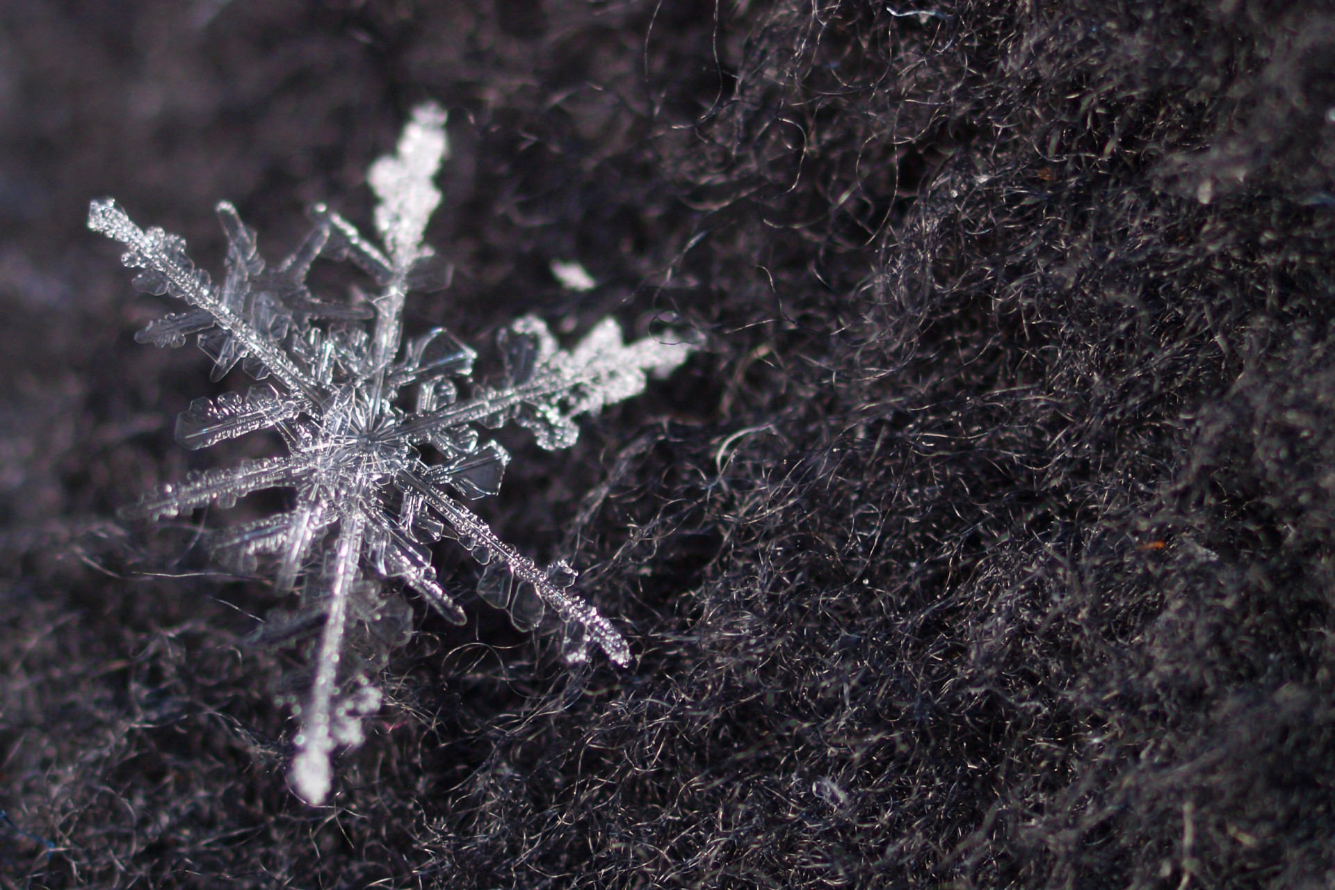 Cool facts you didn't know about winter