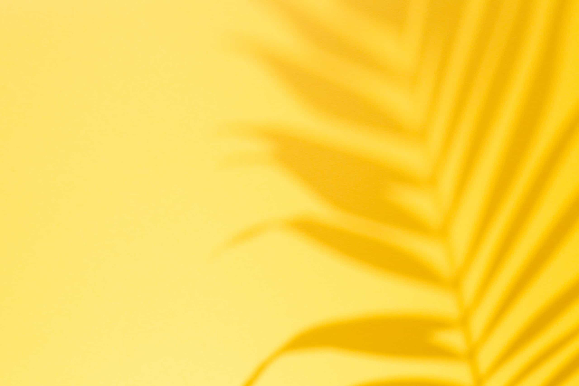 Significado y simbología de los colores: ¿cuánto sabes al respecto?