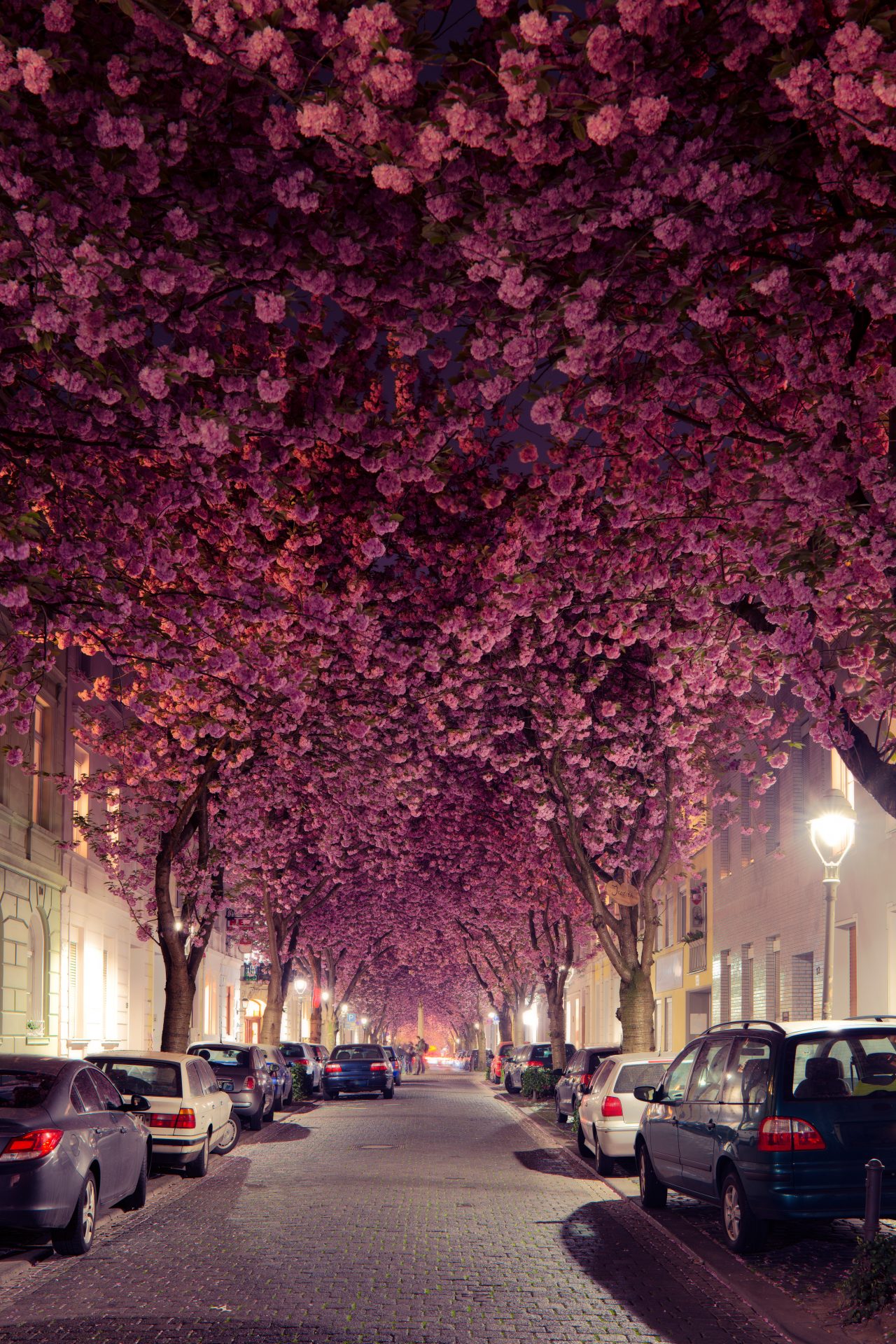 The most beautiful streets in the world