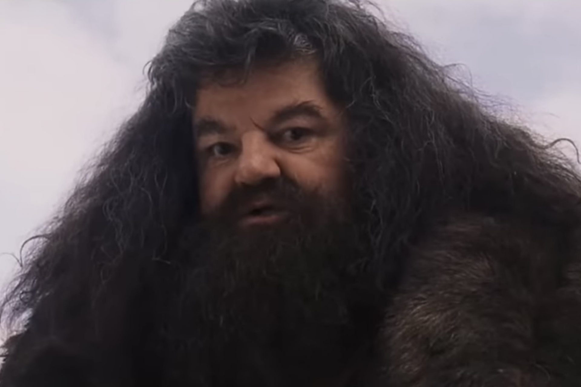 Life lessons we learned from Hagrid in 'Harry Potter'