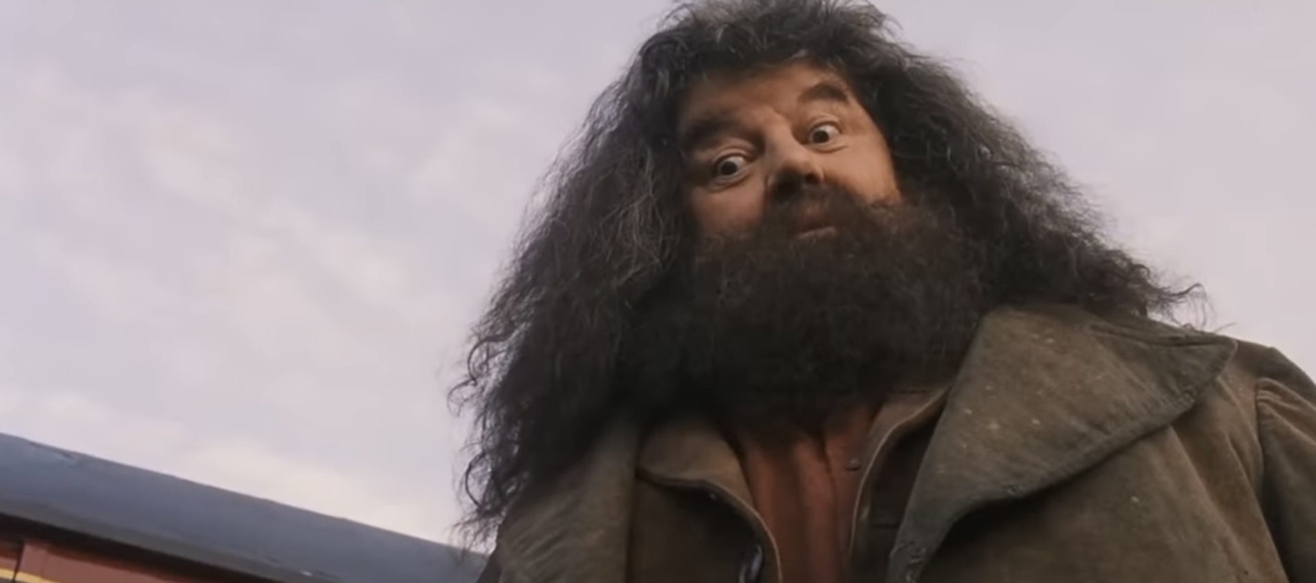 Life lessons we learned from Hagrid in 'Harry Potter'