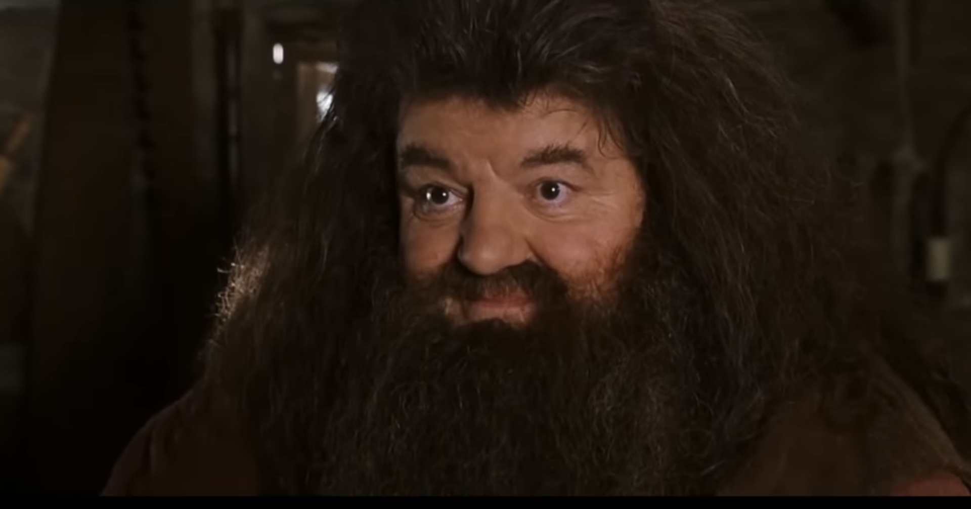 Life lessons we learned from Hagrid in 'Harry Potter'